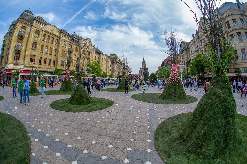 Timfloralis – un buchet de emotii colorate – Violette Boutique des Fleurs