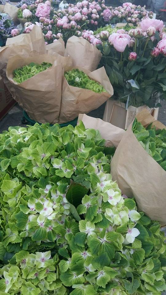 Timfloralis – un buchet de emotii colorate – Violette Boutique des Fleurs